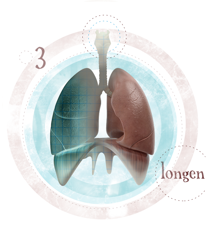 Waarom sporten goed is voor je lijf - Vox magazine