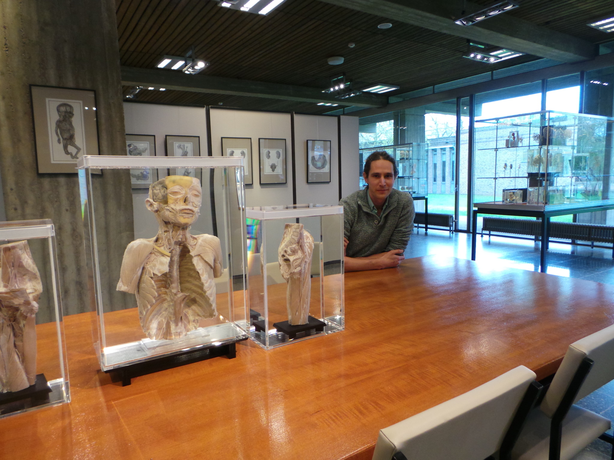 Het verhaal centraal in het Anatomisch Museum - Vox magazine