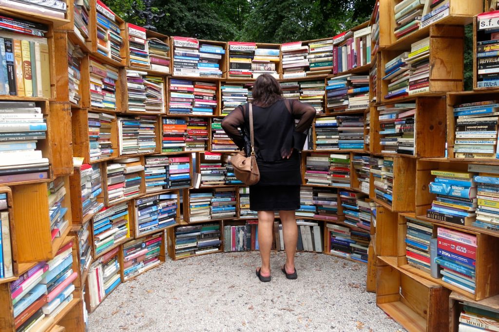 Ook in de Nederlandse literatuur leven bevolkingsgroepen langs elkaar ...