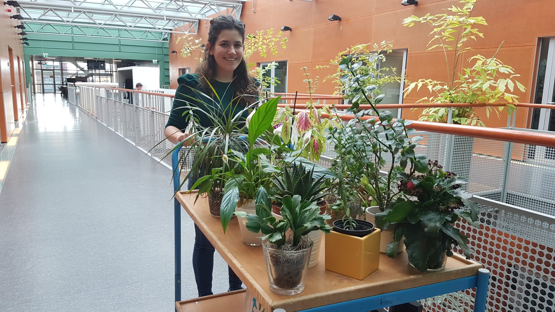 Corona of niet: de insecten in het lab moeten gevoerd - Vox magazine