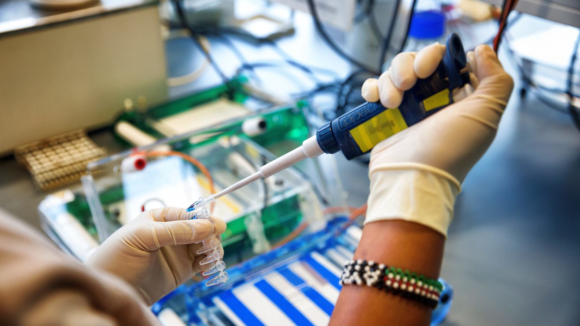 Onderzoekers mogen eindelijk weer 'spelen in het lab' - Vox magazine