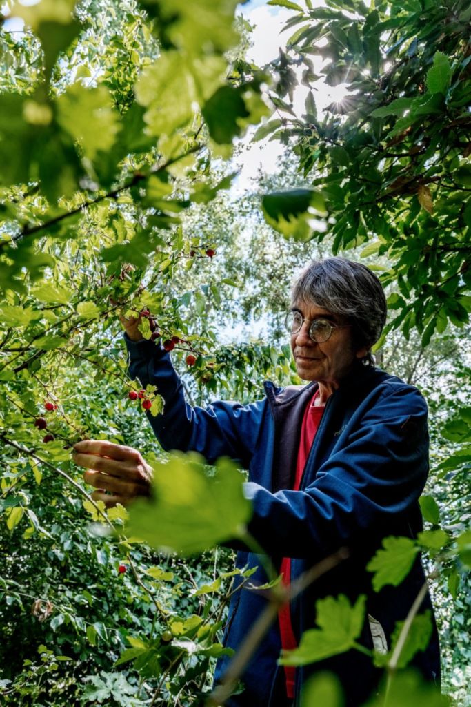 Summer interview (end): Food forest pioneer Wouter van Eck does see a future for farmers - Vox ...