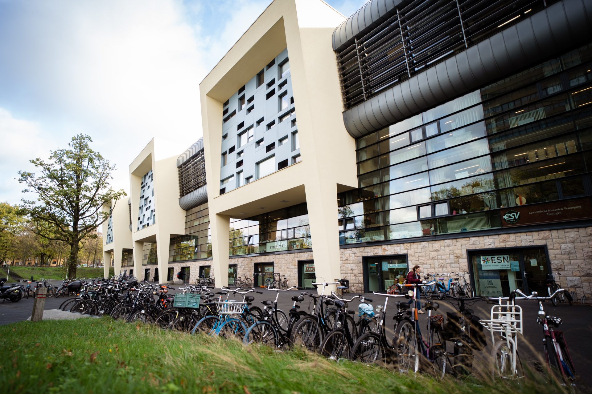 How the management faculty can recover: 'The administrative arrogance ...
