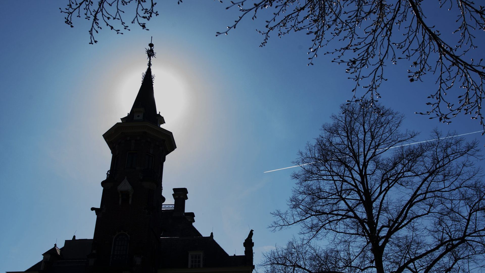Nieuw meldpunt en aandacht voor preventie: zo wil het college van ...