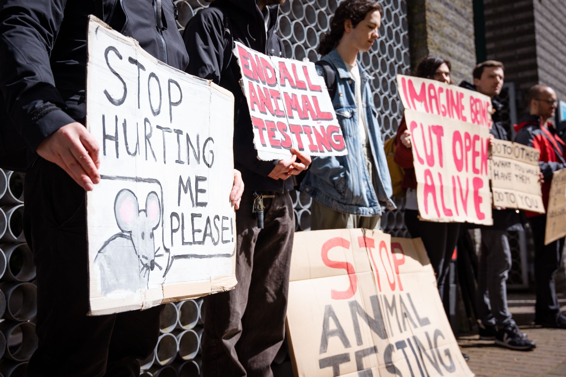 Protest march against animal-testing: 'So many helpless animals being ...