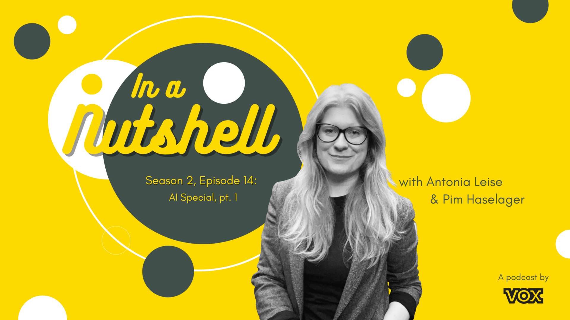 In a Nutshell, s.2 e.14: AI special with Pim Haselager (part 1) - Vox magazine
