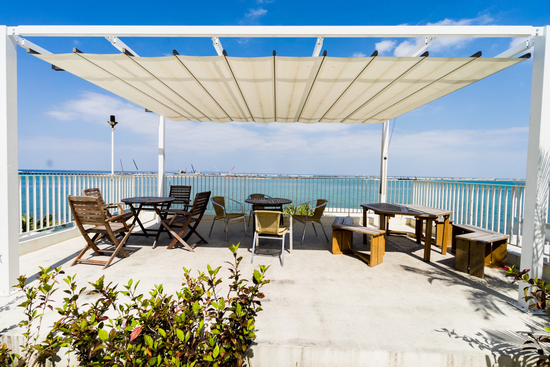 Can we tweak cells to reset their ageing clock? - Vox magazine